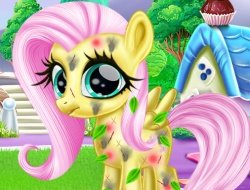 Games pony. Games for girls pony - play free on Game-Game